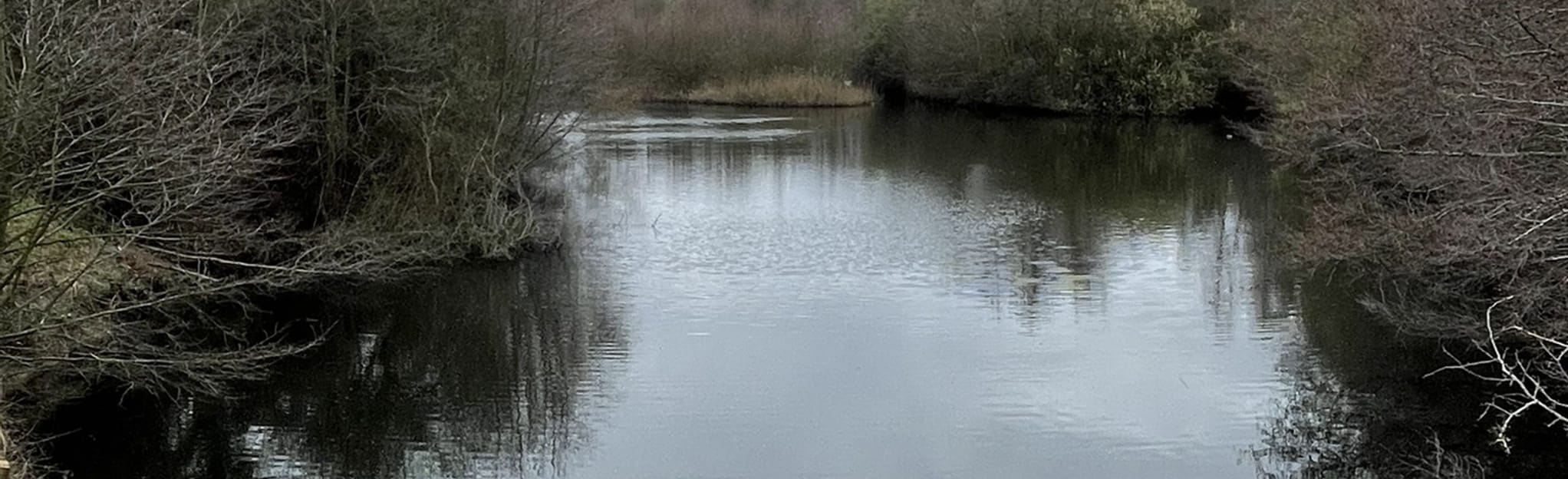 Fingringhoe Wick Wildlife Reserve Walk, Essex, England - 42 Reviews ...