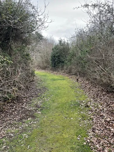 Best Hikes and Trails in Fingringhoe Wick Wildlife Reserve | AllTrails