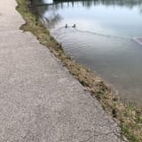 Razorback Regional Greenway, Arkansas - 239 Reviews, Map | AllTrails