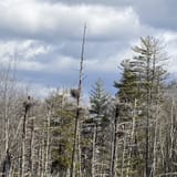 Monson Community Loop, New Hampshire - 268 Reviews, Map | AllTrails