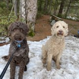 Monson Community Loop, New Hampshire - 268 Reviews, Map | AllTrails