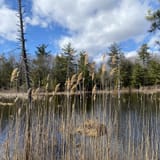 Monson Community Loop, New Hampshire - 268 Reviews, Map | AllTrails