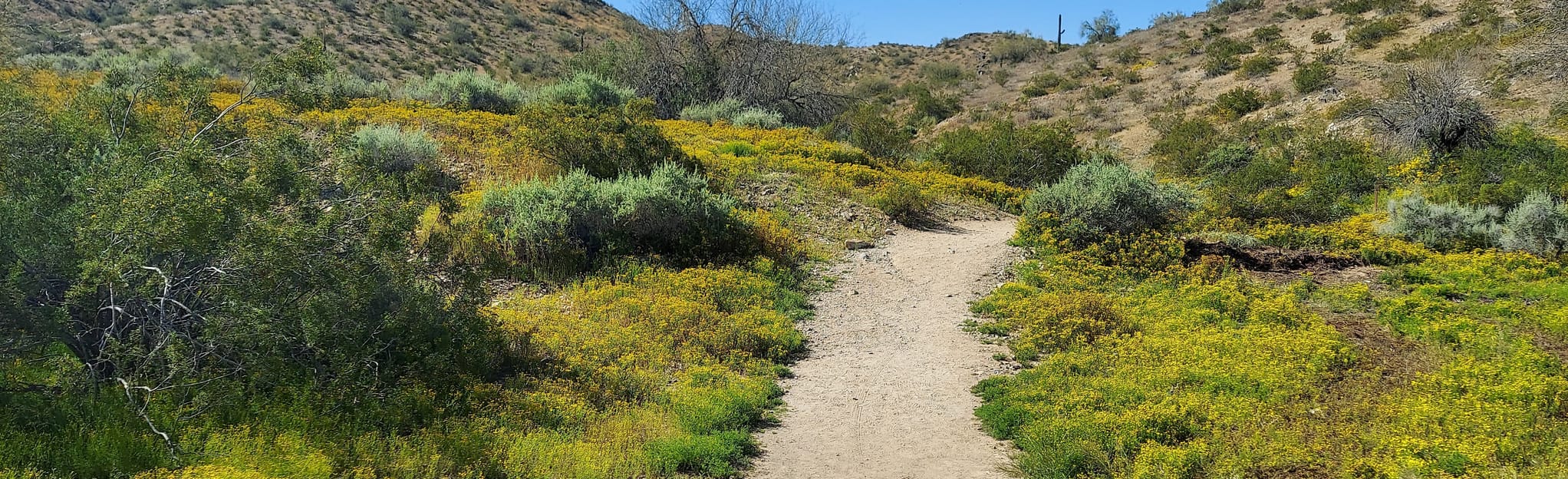 Quail Trail, Arizona - 312 Reviews, Map | AllTrails