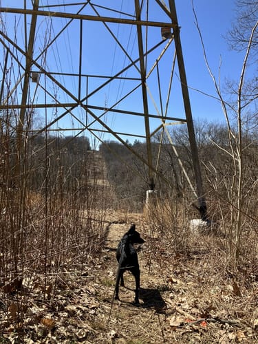 Best Hikes and Trails in Lake Mohegan Recreation Area | AllTrails