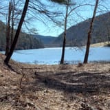 Little Pine Lake Trail , Pennsylvania - 146 Reviews, Map | AllTrails