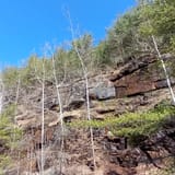Little Pine Lake Trail , Pennsylvania - 146 Reviews, Map | AllTrails
