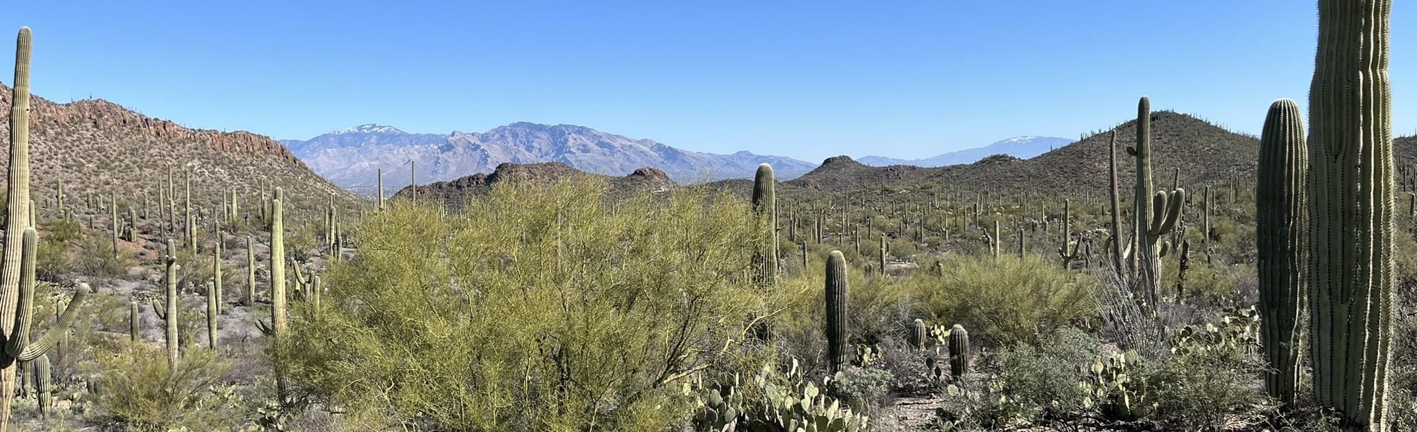 Coyote Pass Loop Trail, Arizona - 182 Reviews, Map | AllTrails
