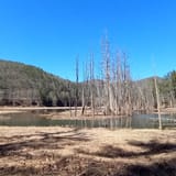Little Pine Lake Trail , Pennsylvania - 117 Reviews, Map | AllTrails