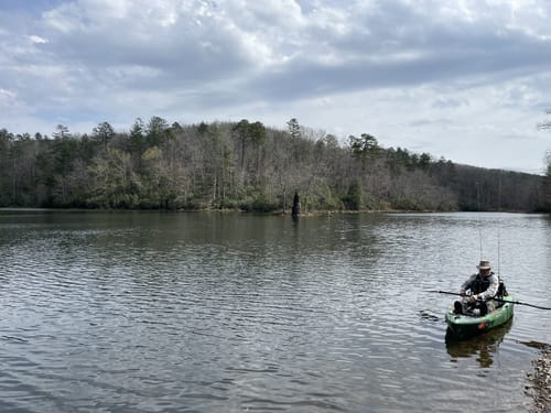 Best Hikes and Trails in Tall Pines Wildlife Management Area | AllTrails