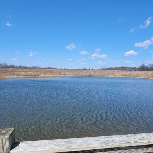 Best Hikes and Trails in Springfield Bog Metro Park | AllTrails