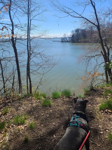 Best Hikes and Trails in Swan Harbor Farm | AllTrails