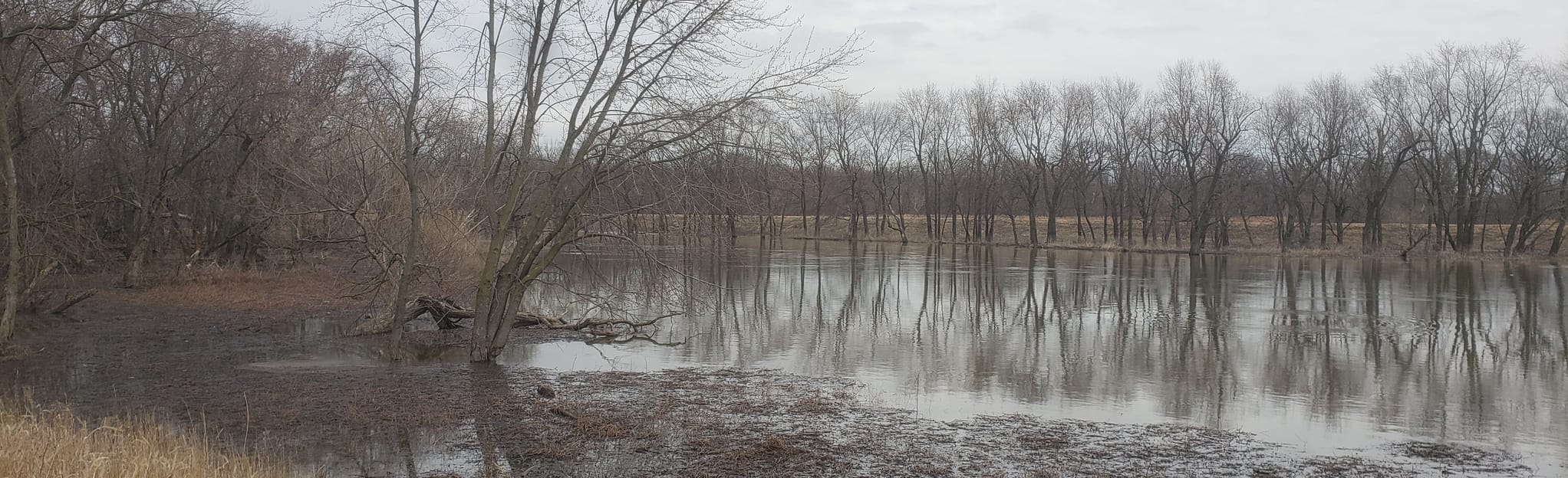 Salt Creek Greenway: Black Paved Section, Illinois - 144 Reviews, Map ...