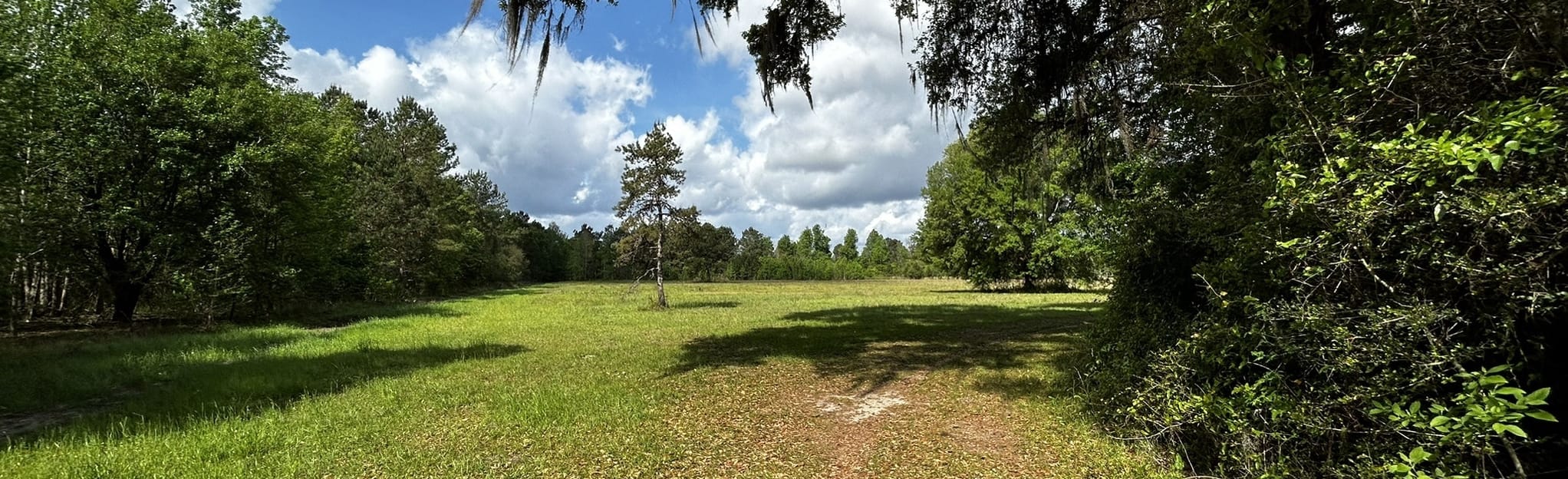 Phipps Park West Loop, Florida - 204 Reviews, Map | AllTrails