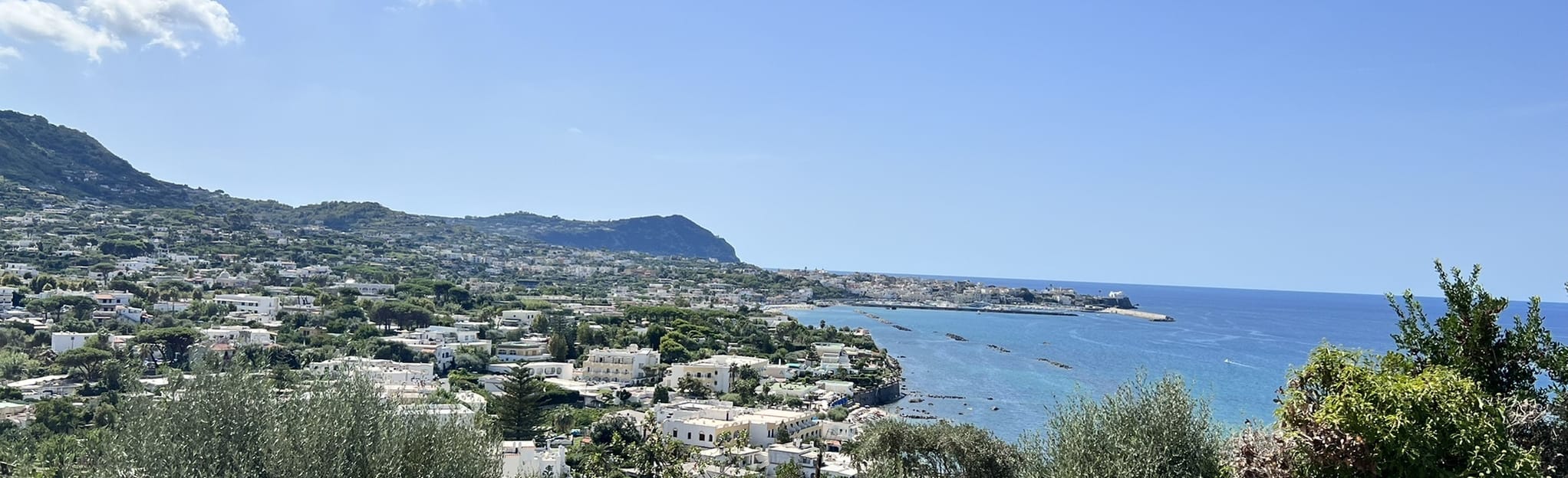 Forio - Bosco di Zaro, Campania, Italy - 9 Reviews, Map | AllTrails