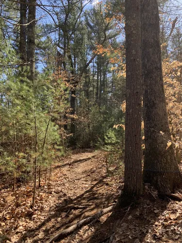 Best Hikes and Trails in Lind Farm Conservation Area | AllTrails