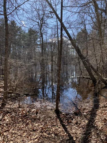 Best Hikes and Trails in Lind Farm Conservation Area | AllTrails