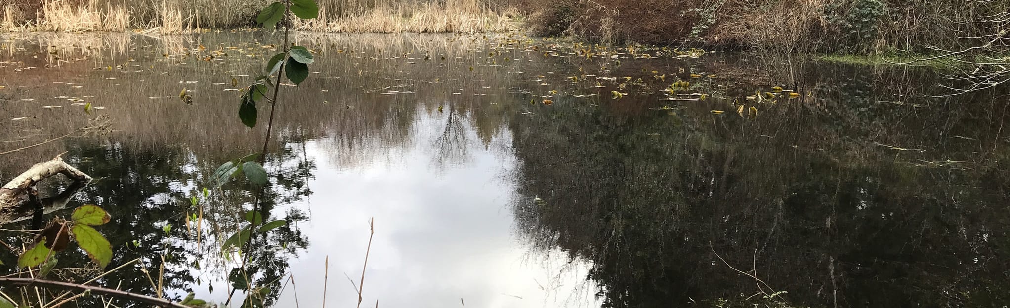 Protection Island Loop: 51 Reviews, Map - British Columbia, Canada ...
