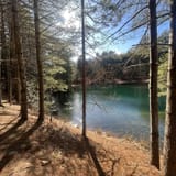 Arbutus Park and Raven Rookery Trail Loop , Massachusetts - 551 Reviews ...