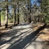 Arbutus Park and Raven Rookery Trail Loop , Massachusetts - 551 Reviews ...