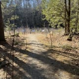 Arbutus Park and Raven Rookery Trail Loop , Massachusetts - 551 Reviews ...