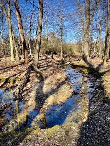 Best Hikes and Trails in Core Creek County Park | AllTrails