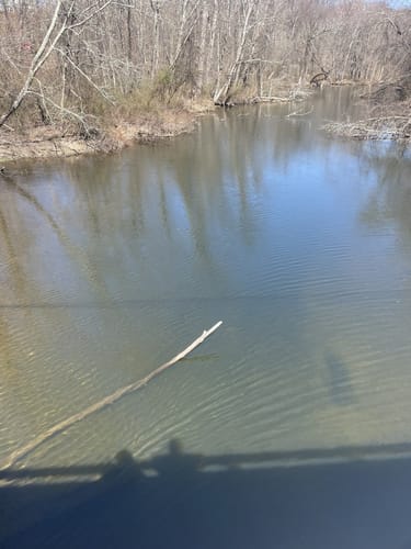 Best Hikes and Trails in Speedwell Park | AllTrails