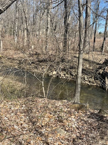 Best Hikes and Trails in Speedwell Park | AllTrails