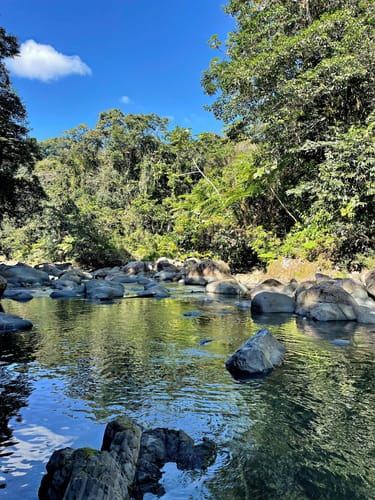Best 10 Hikes and Trails in El Yunque National Forest | AllTrails