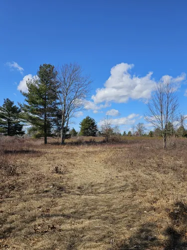 Best 10 Hiking Trails in Freetown Fall River State Forest | AllTrails