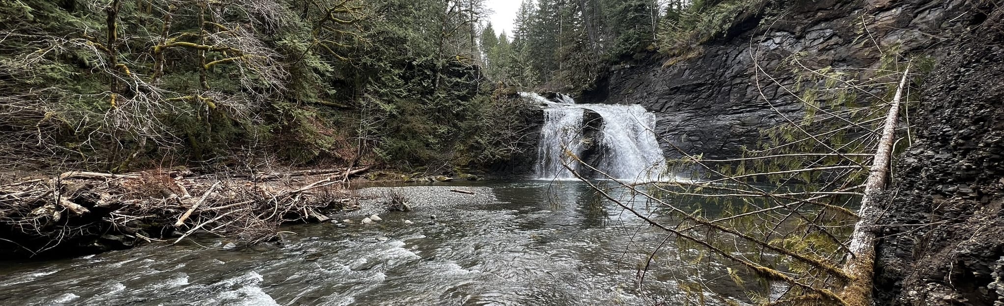 Trent Falls: 232 foto's - Brits-Columbia, Canada | Wandelen - AllTrails