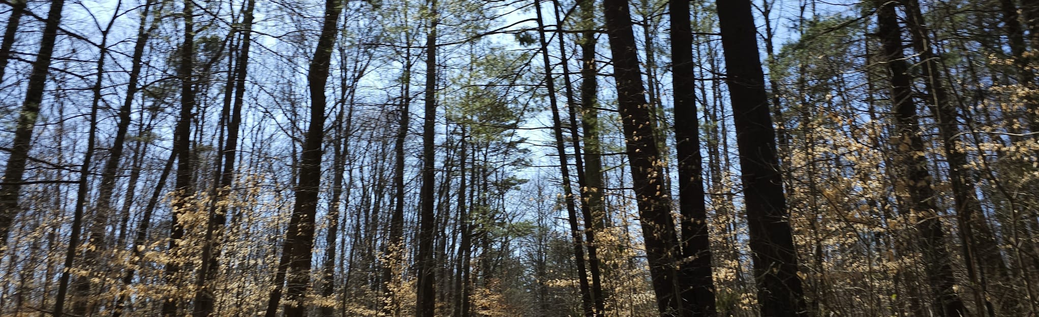 Fish Creek Loop, Indiana - 33 Reviews, Map | AllTrails