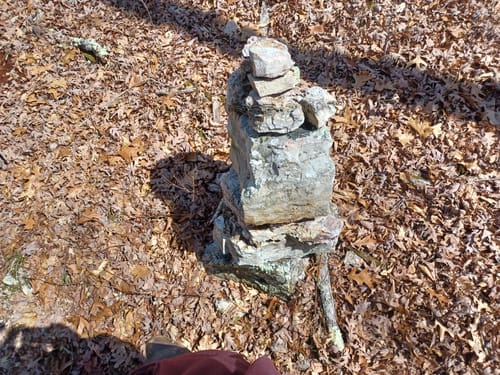 2023 Best Forest Trails in Devils Backbone Wilderness | AllTrails