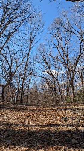 Best Hikes and Trails in Beaver Brook Reservation | AllTrails