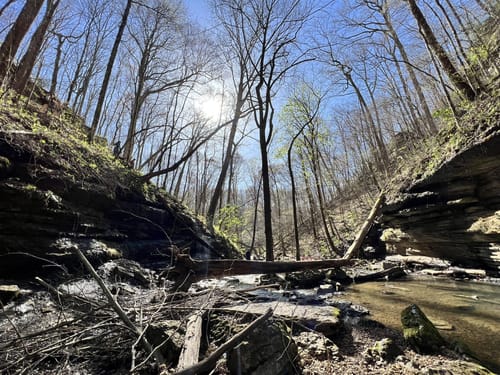 Best Hikes and Trails in Short Springs State Natural Area | AllTrails