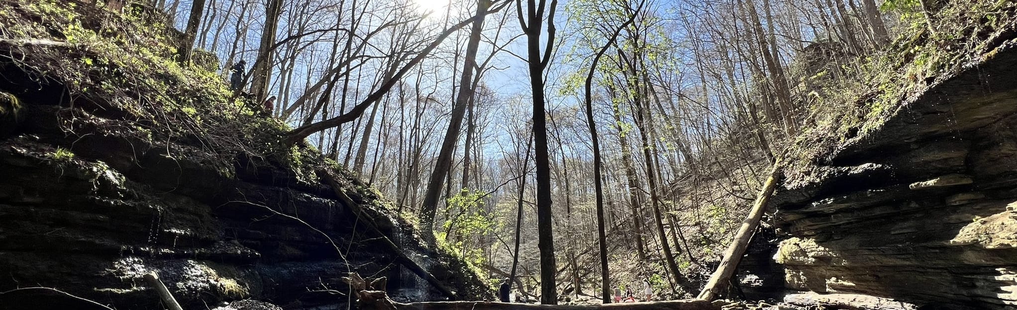 Short Springs Loop Trail | Map, Guide - Tennessee | AllTrails