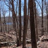 Muscoot Farm Loop, New York - 166 Reviews, Map | AllTrails