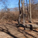 Muscoot Farm Loop, New York - 166 Reviews, Map | AllTrails