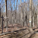 Muscoot Farm Loop, New York - 166 Reviews, Map | AllTrails
