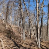 Muscoot Farm Loop, New York - 166 Reviews, Map | AllTrails
