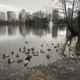 Lafarge Lake Loop, British Columbia, Canada - 224 Reviews, Map | AllTrails