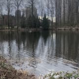 Lafarge Lake Loop, British Columbia, Canada - 224 Reviews, Map | AllTrails