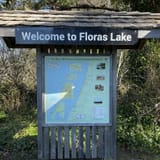 Floras Lake Waterfall Trail, Oregon - 233 Reviews, Map | AllTrails