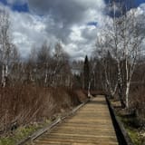 Mercer Slough Nature Park, Washington - 836 Reviews, Map | AllTrails