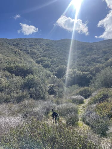 Best Hikes and Trails in Julian County Park | AllTrails