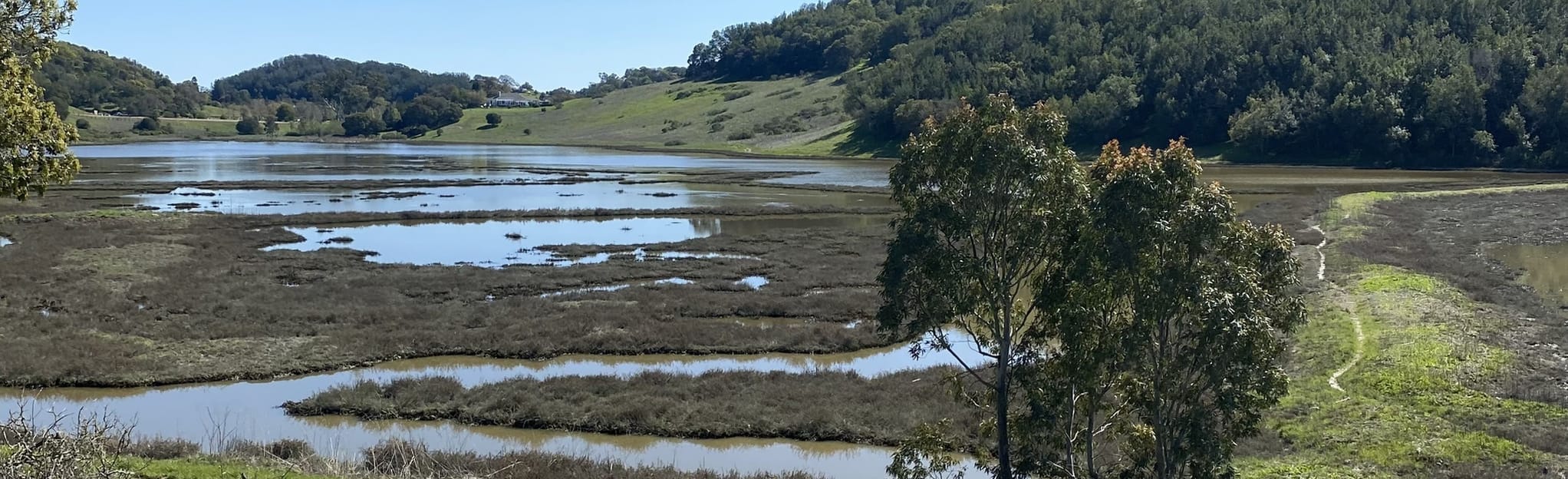 Bahia Trail Loop, California - 406 Reviews, Map | AllTrails