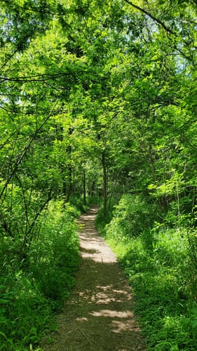 Best Hikes and Trails in Copperfield Park | AllTrails