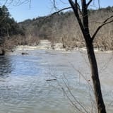 Silver Mine Trail, Missouri - 254 Reviews, Map | AllTrails