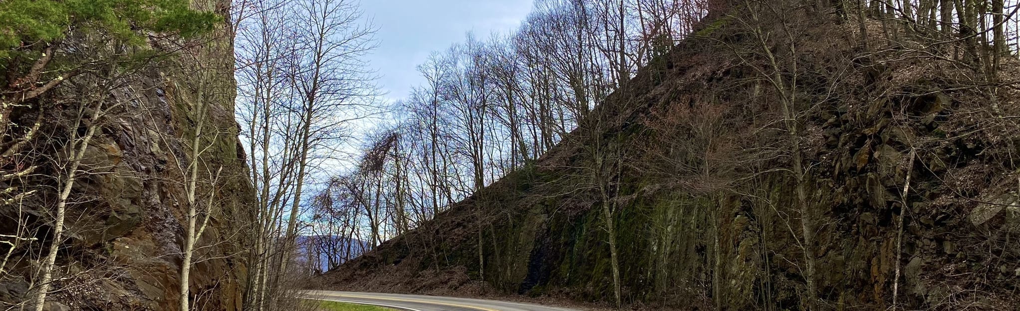 Hemlock Trail: 8 Reviews, Map - Tennessee | AllTrails