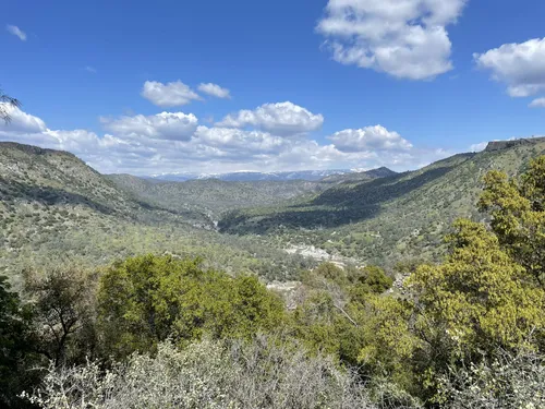 10 Best Trails and Hikes in Clovis | AllTrails