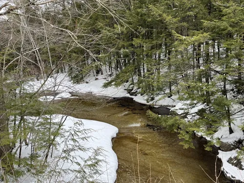 Best Hikes and Trails in Bear Notch Ski Touring Center Trails | AllTrails
